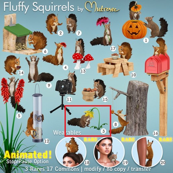 Second Life Marketplace - 03-Mutresse-Fluffy Squirrels